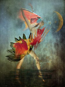 Digital Fine Art Winners | 8th Annual MPA - Mobile Photography Awards