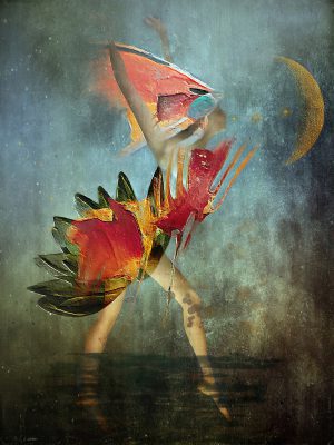 Digital Fine Art Winners | 8th Annual MPA - Mobile Photography Awards