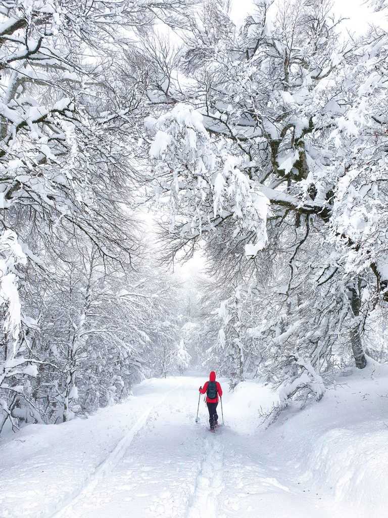 WATER | SNOW | ICE WINNERS | 11TH ANNUAL MPA - Mobile Photography Awards