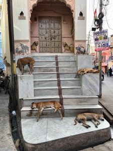 STREET PHOTOGRAPHY WINNERS | 12TH ANNUAL MPA - Mobile Photography Awards