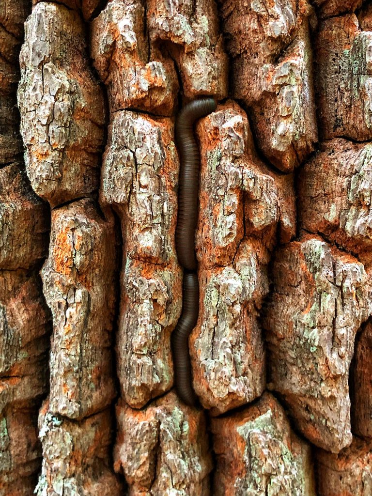 AI (Artificial Intelligence) WINNERS | 12TH ANNUAL MPA - Mobile ...